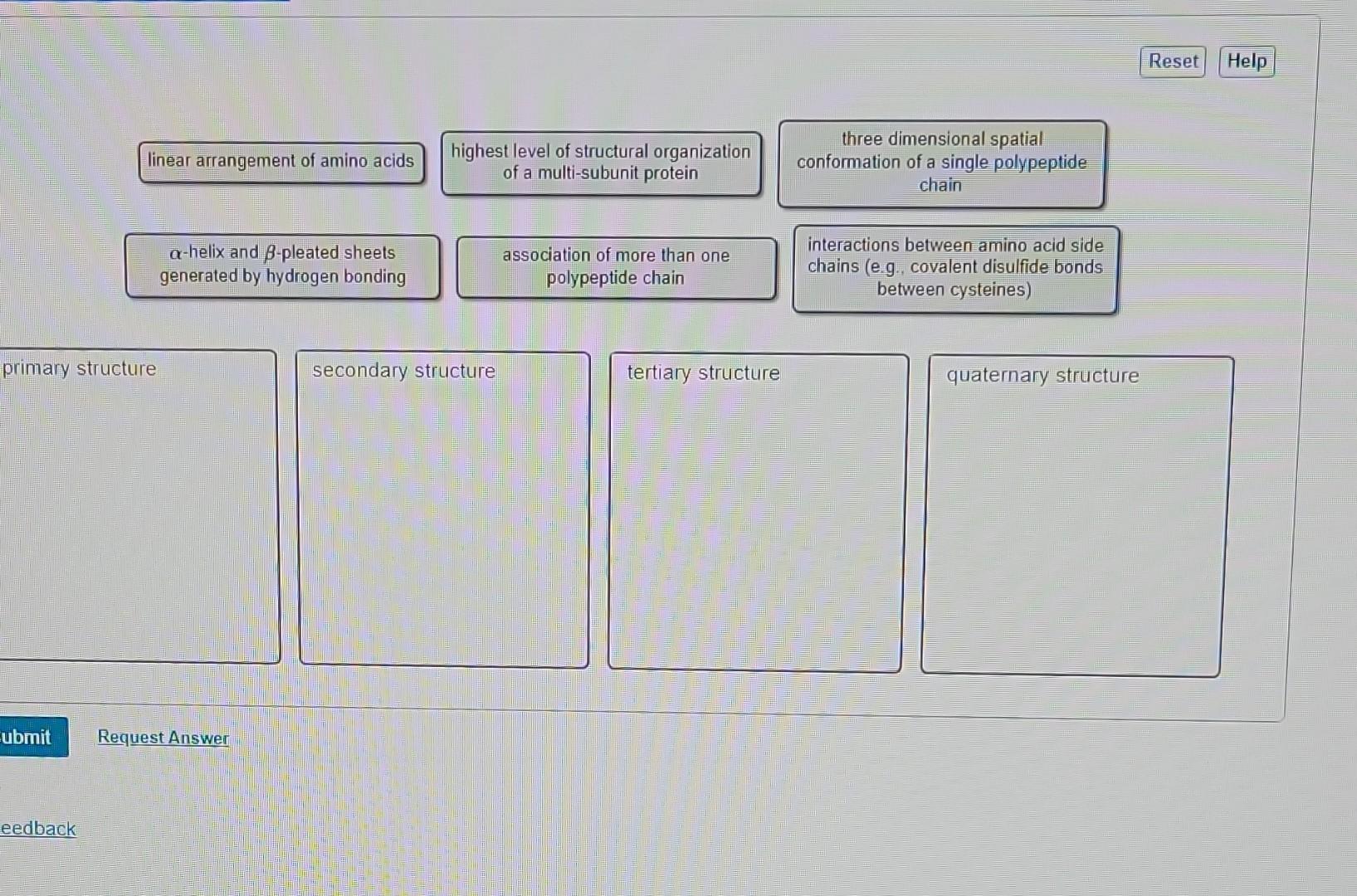 Solved Reset Help primary structure secondary structure | Chegg.com