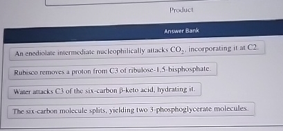 Solved Answer BankAn enediolate intermediate | Chegg.com
