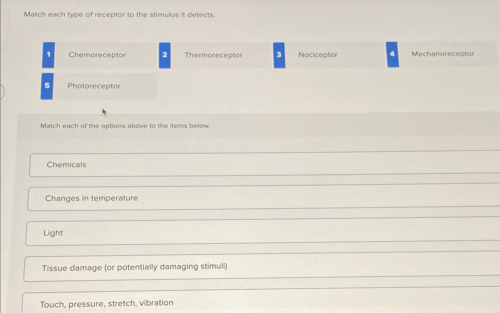 Solved Match each type of receptor to the stimulus it | Chegg.com