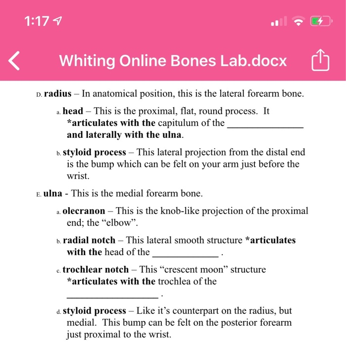 Solved 1:171 Whiting Online Bones Lab.docx D. radius – In | Chegg.com