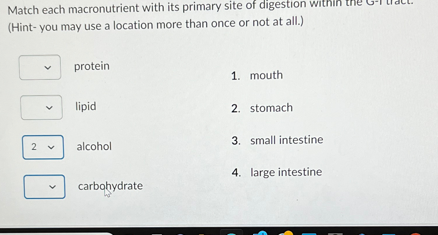 Solved Match each macronutrient with its primary site of | Chegg.com