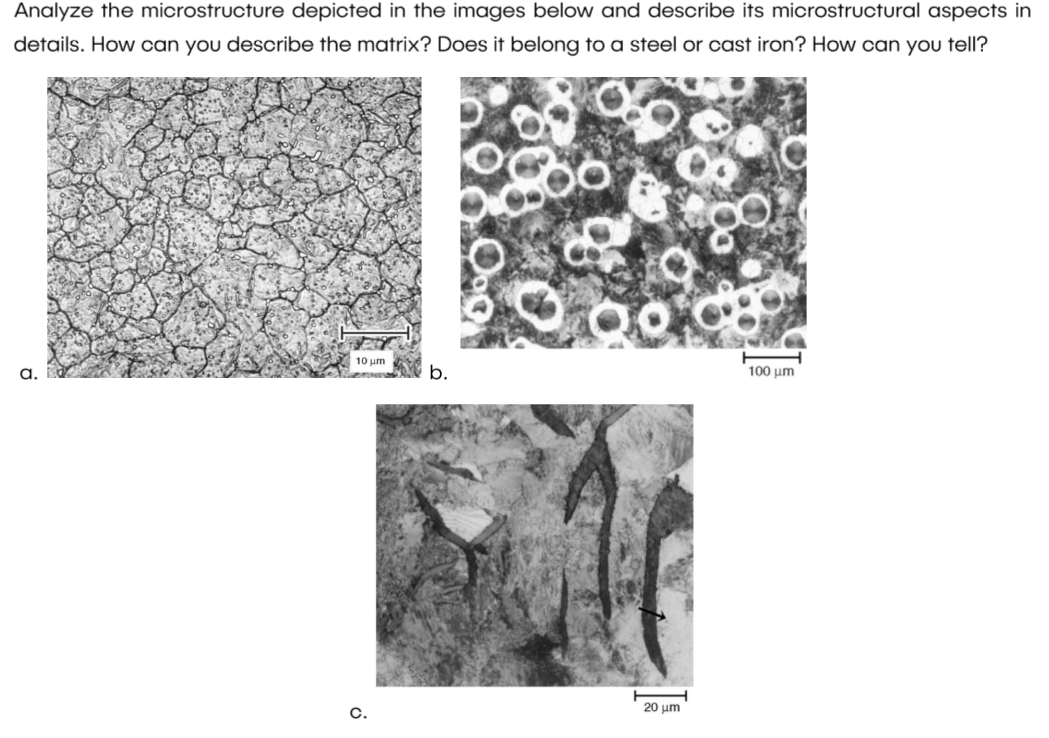 Analyze the microstructure depicted in the images | Chegg.com