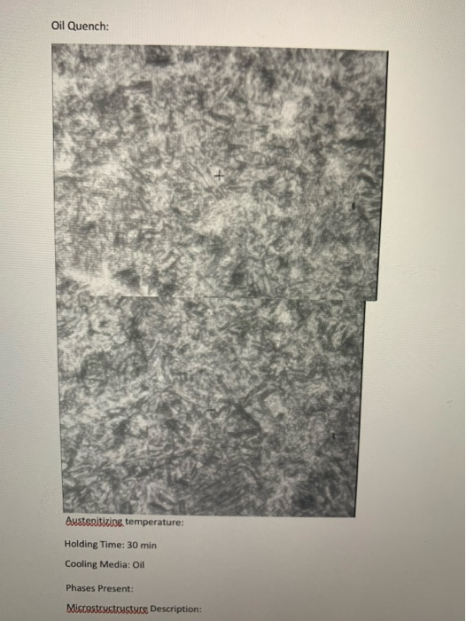 Solved please explain how do i know the austenizing | Chegg.com