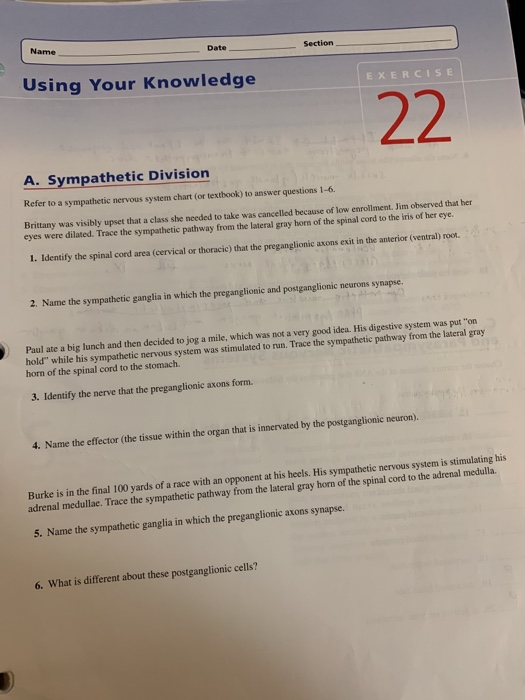 Solved Name Date Section EXERCISE Using Your knowledge A. | Chegg.com