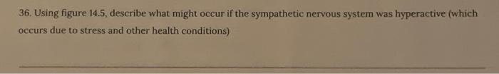 Solved 28. Summarize the pathway of preganglionic | Chegg.com
