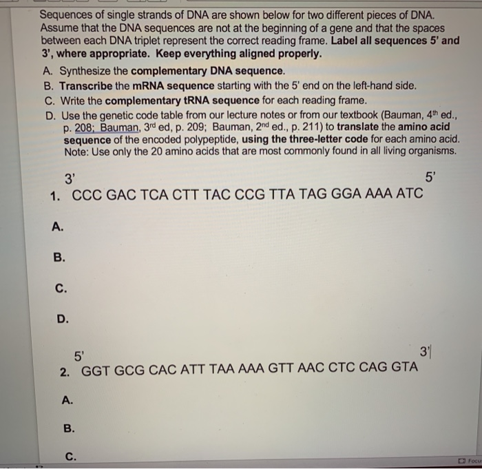Solved Sequences of single strands of DNA are shown below | Chegg.com