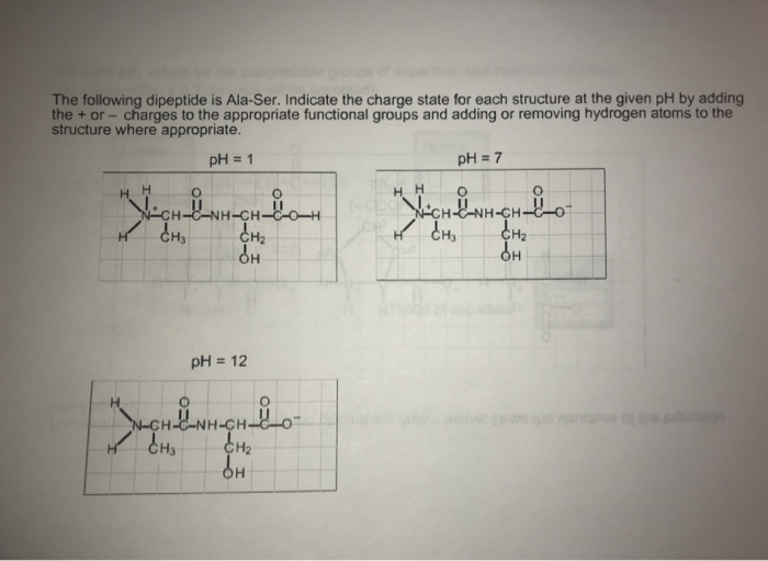 Solved The following dipeptide is Ala-Ser. Indicate the | Chegg.com