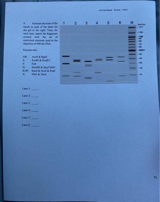 Restriction Digest of DNA & Gel Analysis Introduction | Chegg.com