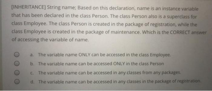 Solved [INHERITANCE] Assume that we have two classes namely | Chegg.com