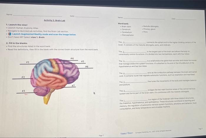 Solved Activity brain Lab 1. Launch the view! Launch Humanos | Chegg.com
