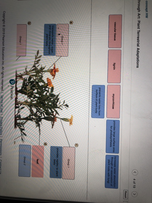 Solved: All Information Given It Is Just A Fill In The Bla... | Chegg.com