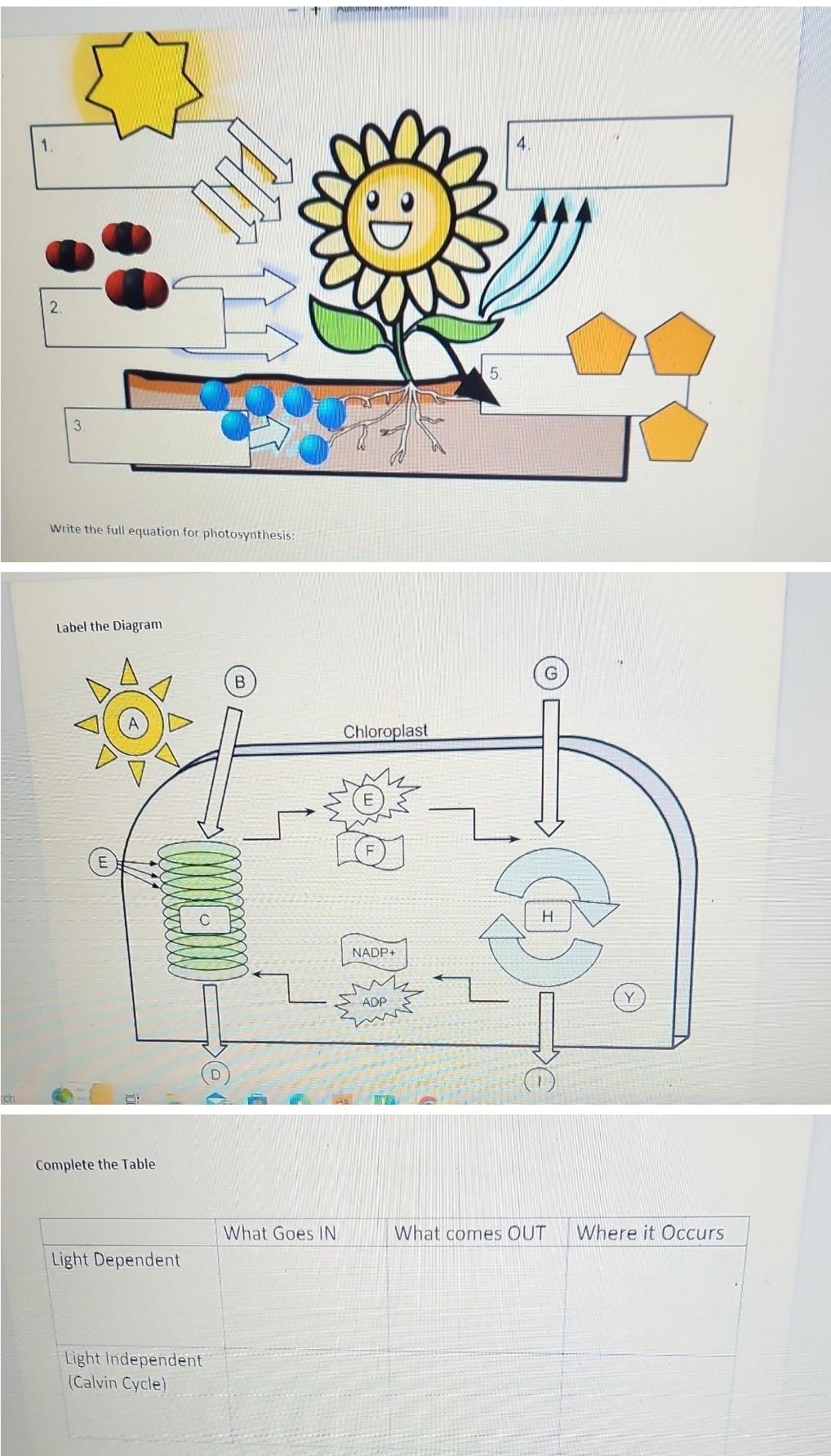Solved Write the full equation for photosynthesis: Complete | Chegg.com