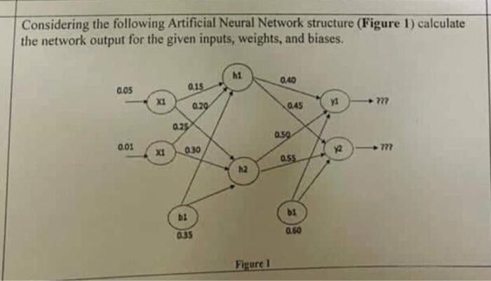 Solved Considering the following Artificial Neural Network | Chegg.com