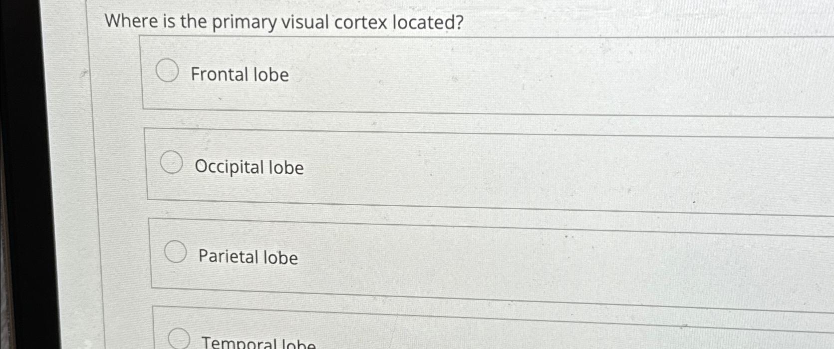 Solved Where is the primary visual cortex located?Frontal | Chegg.com