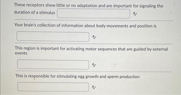Solved Angiotensin II Proprioception Entrainment REM | Chegg.com