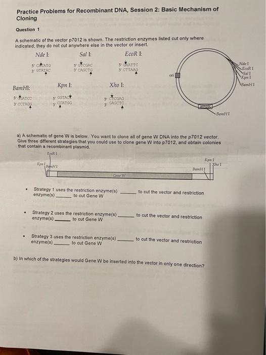 Solved Practice Problems for Recombinant DNA, Session 2: | Chegg.com