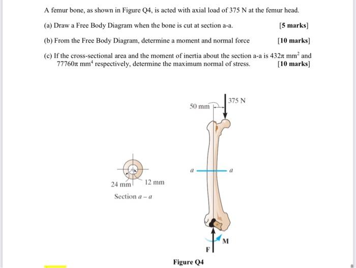 Solved A femur bone, as shown in Figure Q4, is acted with | Chegg.com