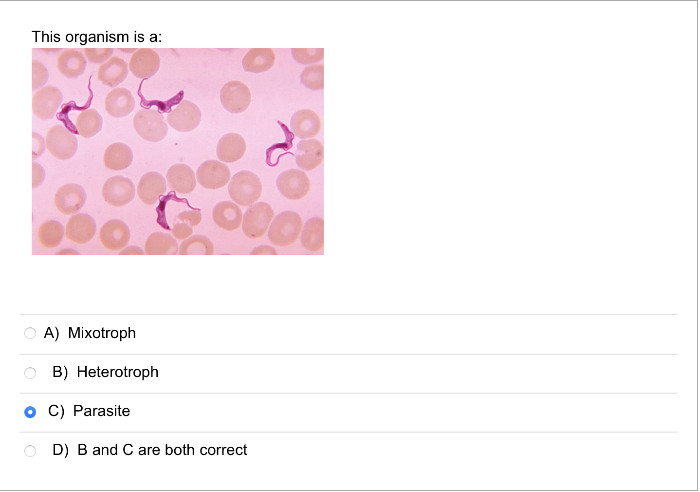 Solved this organism is aA) ﻿MixotrophB) ﻿HeterotrophC) | Chegg.com