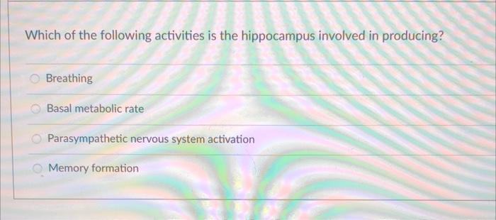 Solved Which of the following activities is the hippocampus | Chegg.com