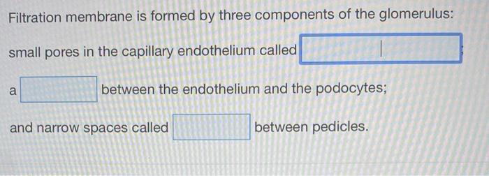 Filtration membrane is formed by three components of | Chegg.com
