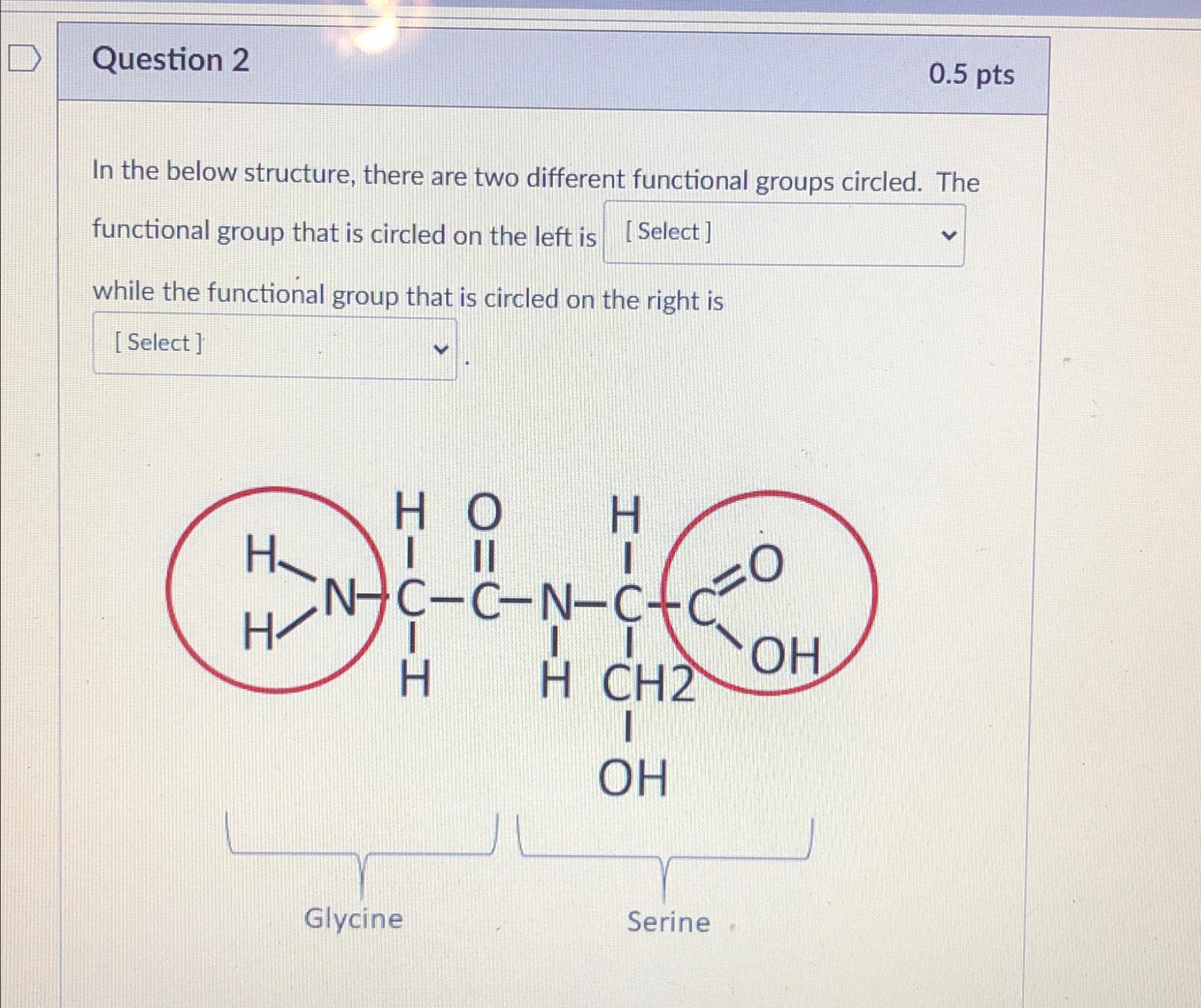 Solved Question 20.5ptsIn the below structure, there are two | Chegg.com