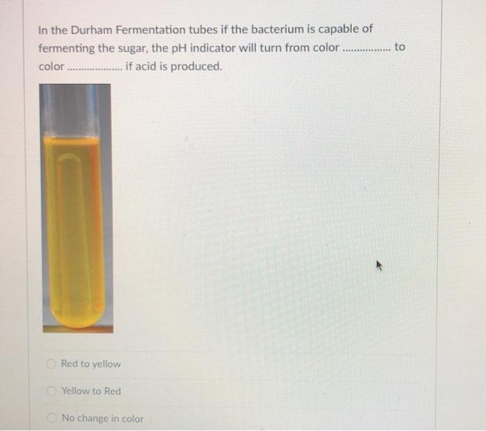 Solved In the Durham Fermentation tubes if the bacterium is | Chegg.com