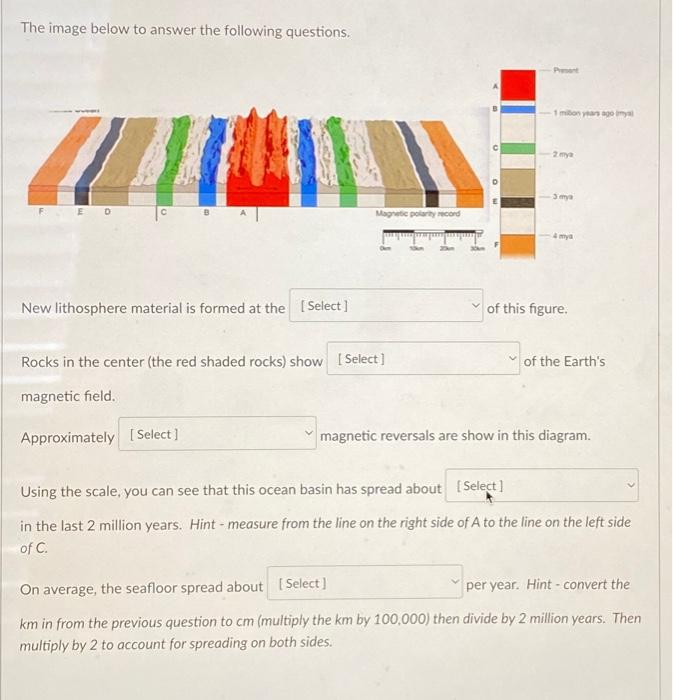Solved The image below to answer the following questions. | Chegg.com