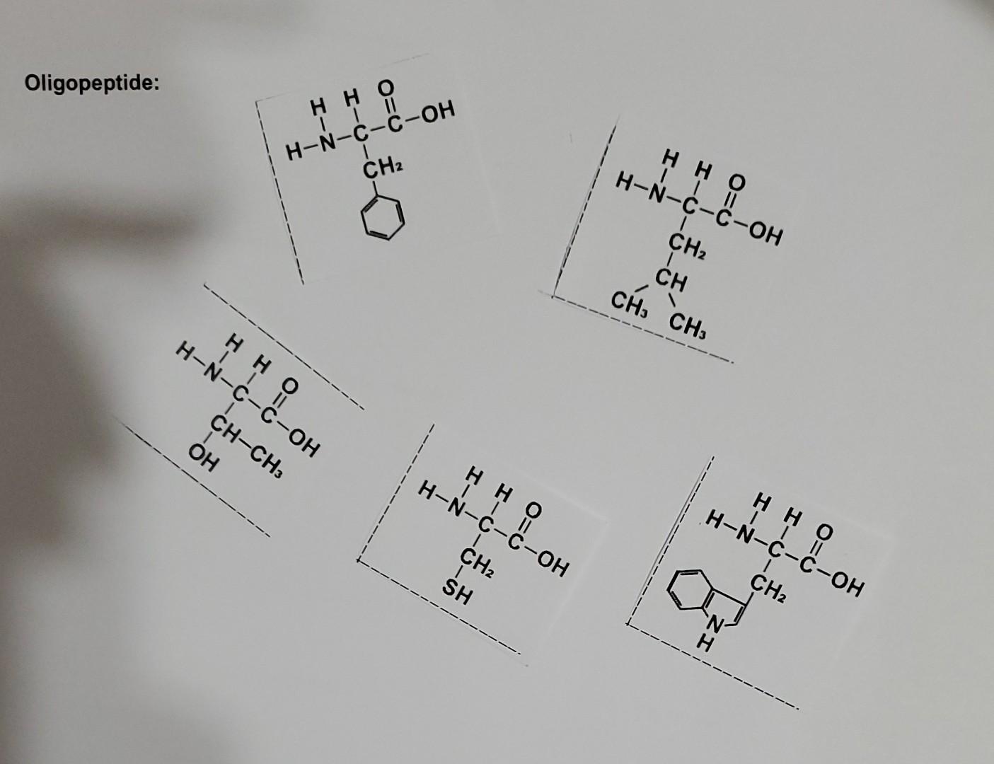Solved Oligopeptide:Synthesize a dipeptide on page 3 by | Chegg.com
