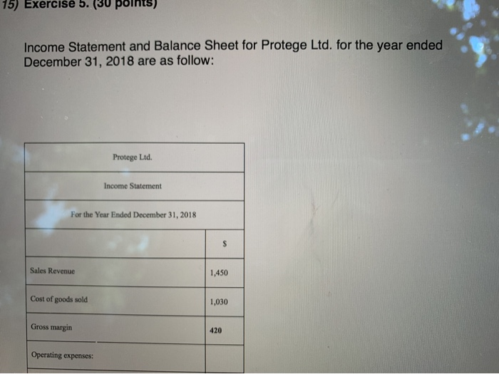 Solved 15) Exercise 5. (30 points) Income Statement and | Chegg.com Solved 15) Exercise 5. (30 points) Income Statement and | Chegg.com