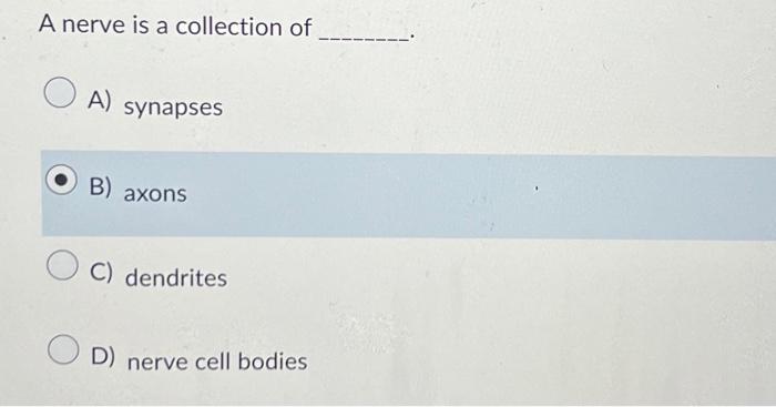 Solved A nerve is a collection of OA) synapses B) axons C) | Chegg.com
