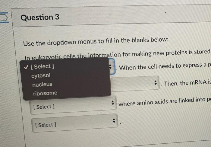 Solved Question 3 1 Pts Use The Dropdown Menus To Fill In 