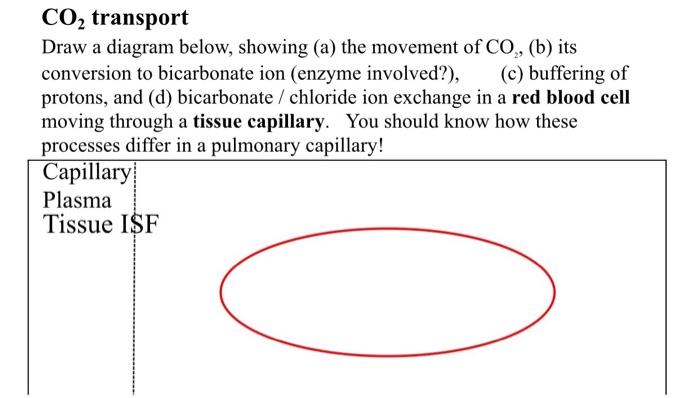 Solved CO2 transport Draw a diagram below, showing (a) the | Chegg.com