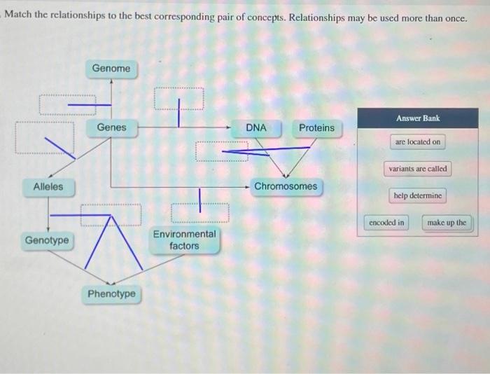Solved Match the relationships to the best corresponding | Chegg.com
