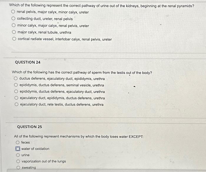 Solved Which of the following represent the correct pathway | Chegg.com