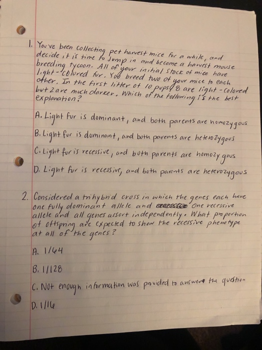 Solved I hope you can read my handwriting! im hoping you can | Chegg.com