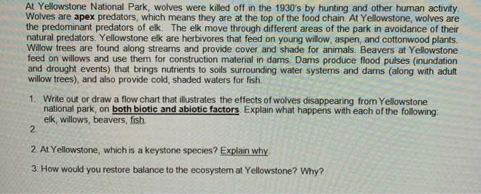 Solved At Yellowstone National Park, wolves were killed off | Chegg.com
