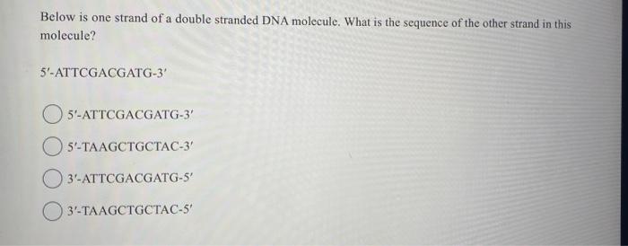 Solved Below is one strand of a double stranded DNA | Chegg.com
