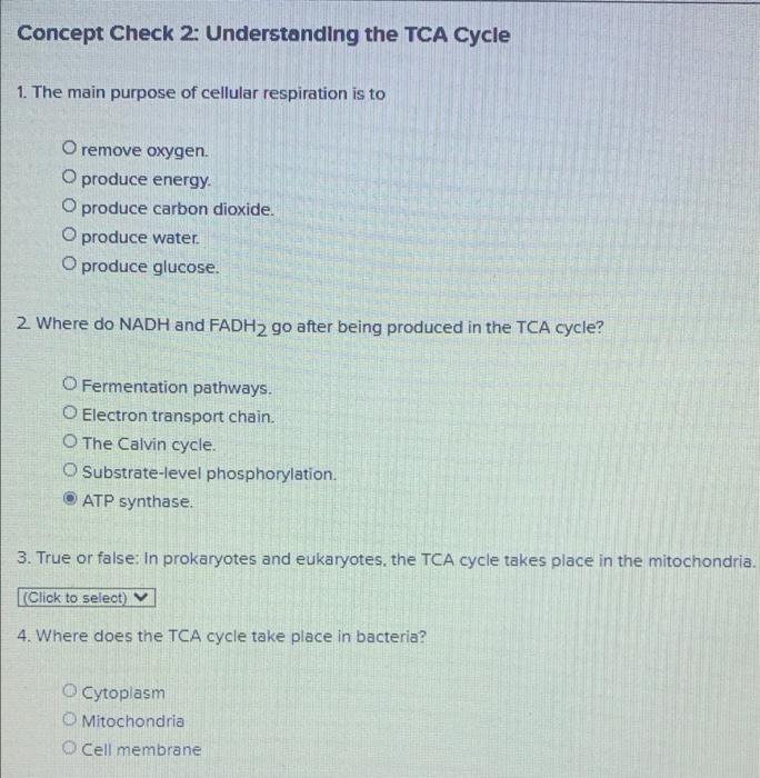 Solved Concept Check 2: Understanding the TCA Cycle 1. The | Chegg.com