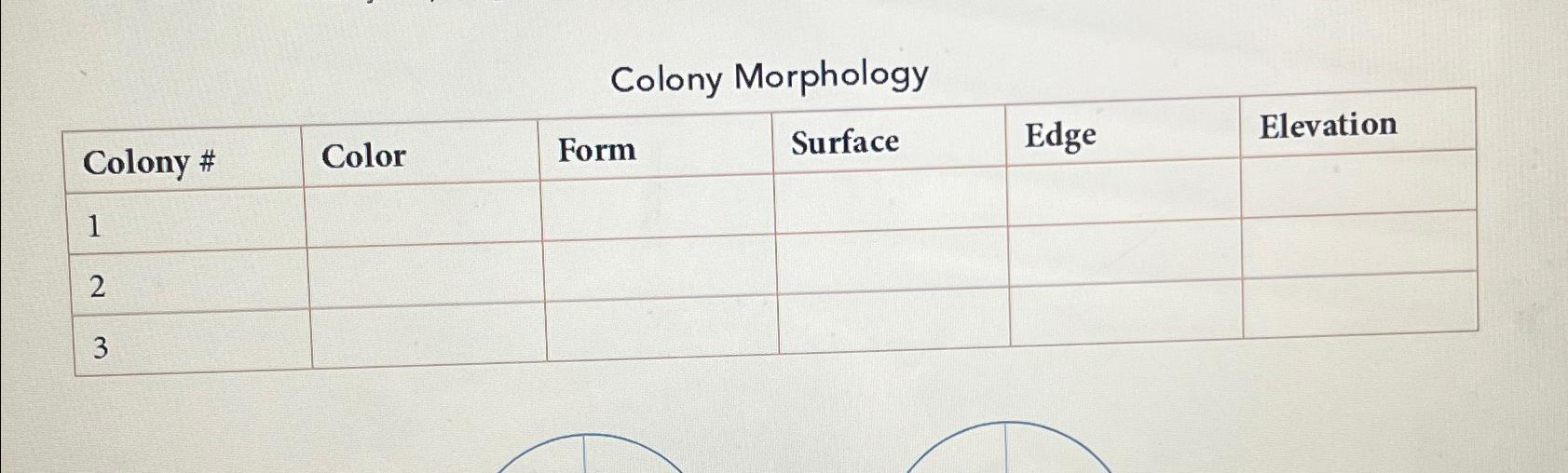 Solved Colony Morphology\table[[Colony | Chegg.com