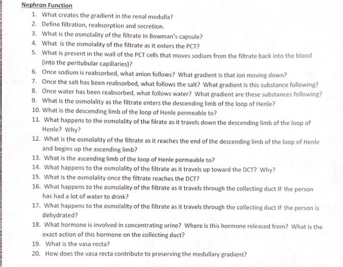 Solved Nephron Function 1. What creates the gradient in the | Chegg.com
