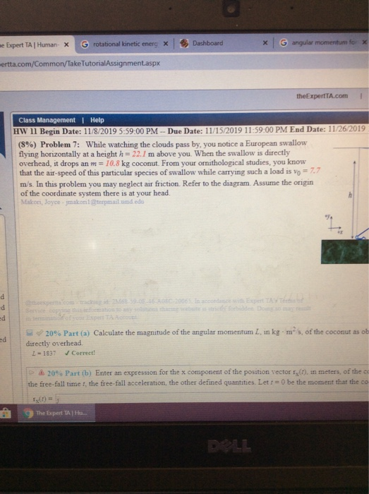 Expert TA | Human * rotational kinetic energ * $ | Chegg.com