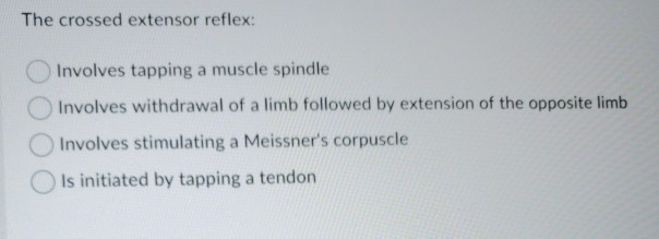 Solved The crossed extensor reflex: Involves tapping a | Chegg.com