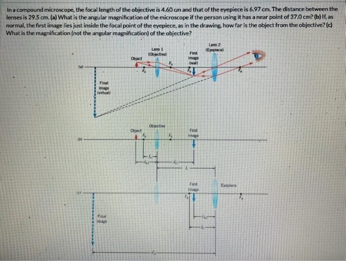 Solved In a compound microscope, the focal length of the | Chegg.com