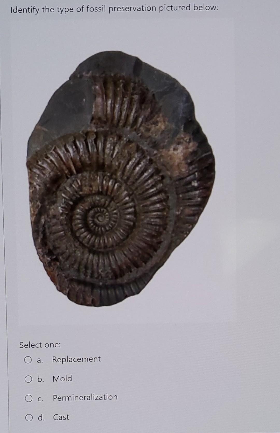 Solved Identify the type of fossil preservation pictured | Chegg.com