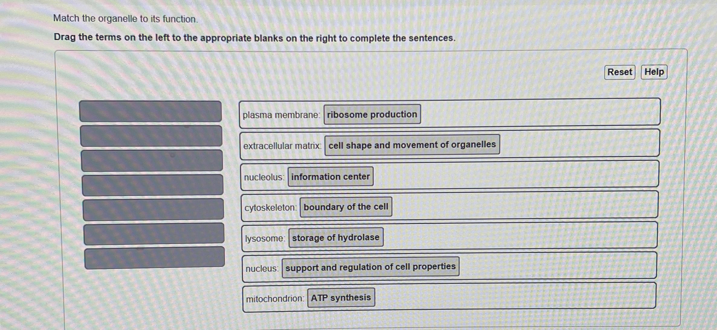 Solved Match the organelle to its function.Drag the terms on | Chegg.com