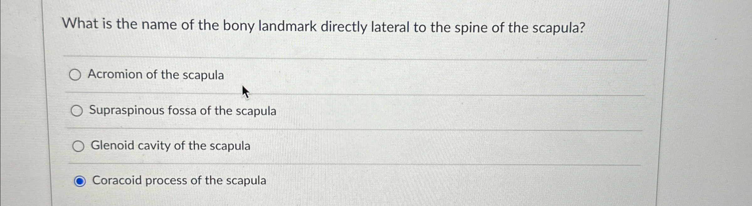 Solved What is the name of the bony landmark directly | Chegg.com