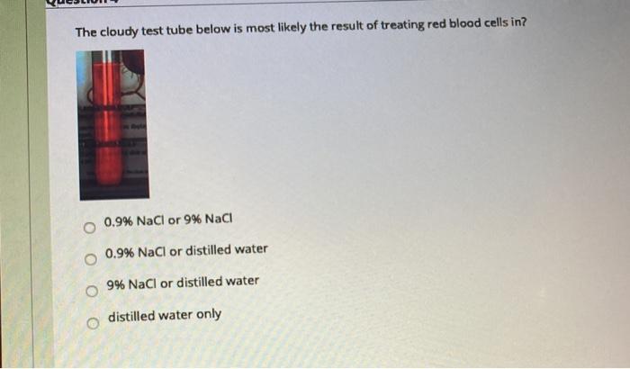 Solved The cloudy test tube below is most likely the result | Chegg.com