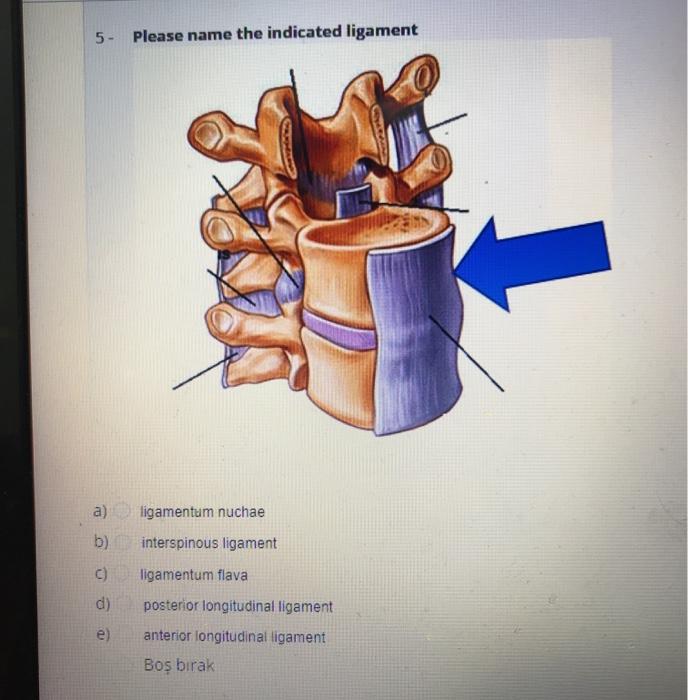 Solved 5- Please name the indicated ligament a) ligamentum | Chegg.com