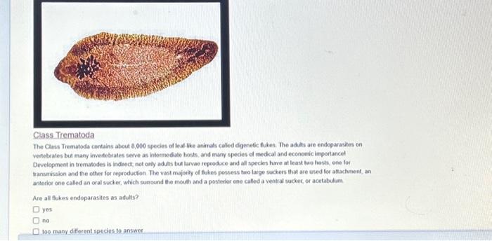 Solved Class Trematoda The Class Trematoda contains about | Chegg.com