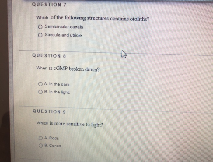 Solved QUESTION 7 Which of the following structures contains | Chegg.com